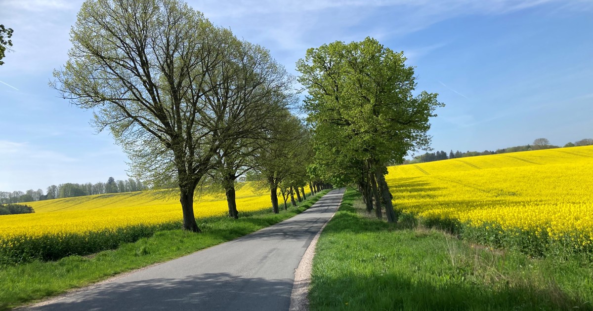 Klub for yngre, på Munkebo | Næstved Kommune